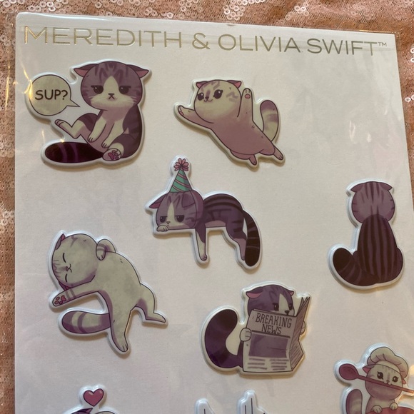 Taylor Swift | Accessories | Taylor Swift Meredith And Olivia Stickers ...